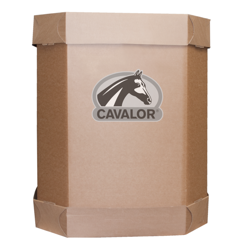 Cavalor® SPORT Action Mix - XL-Box (Mélange)
